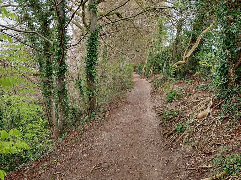 Louth To Hubbard Hills And Flint Hill Loop — Lincolnshire Wolds Aonb