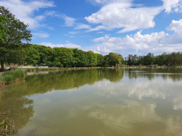 Les étangs de la Dombes — loop in the réserve départementale de la ...