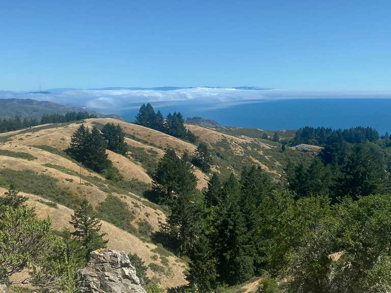 Cardiac Hill Loop — Mount Tamalpais State Park ¿Te gusta coleccionar ...