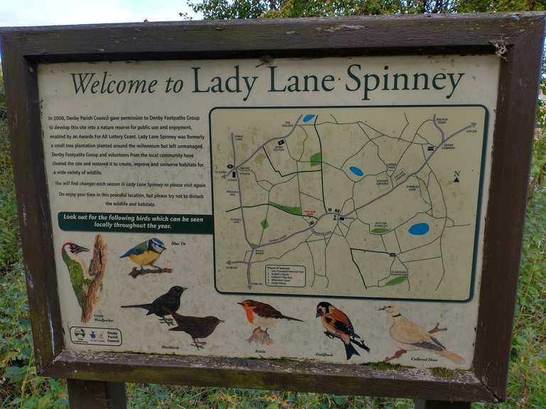 Lady Lane Spinney Routes for Walking and Hiking | Komoot