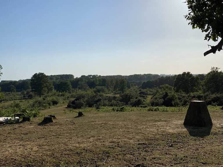 Hothfield Heathlands Nature Reserve Routes for Walking and Hiking | Komoot