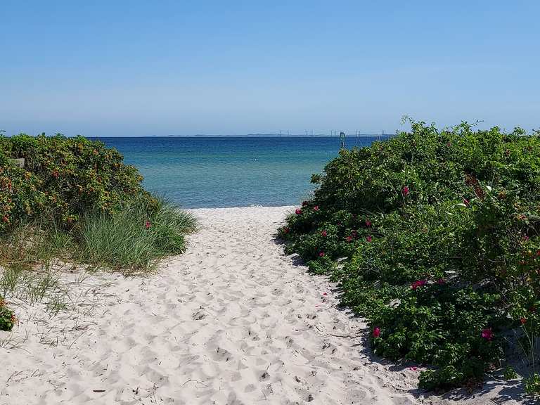 Saksild Strand: Wanderungen und Rundwege | komoot