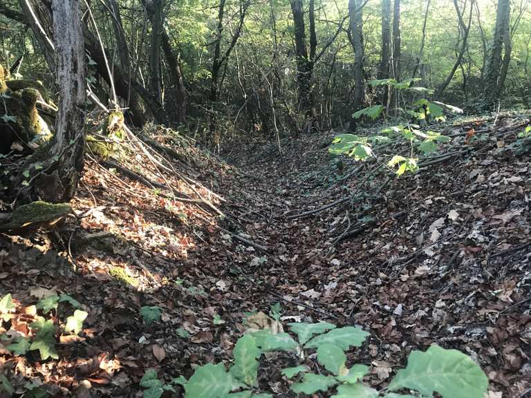 Deutsche Schützengräben von 1944: Mountainbike-Touren und -Trails | komoot