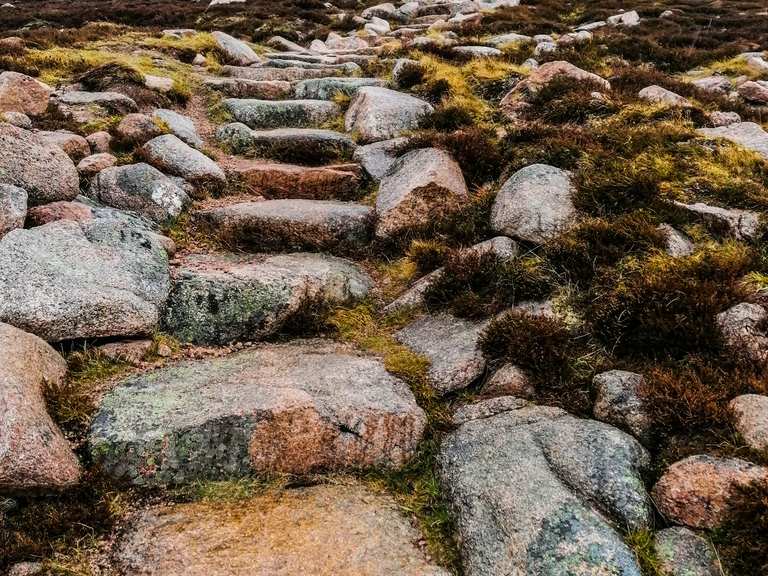 Windy Ridge Path Routes for Walking and Hiking | Komoot