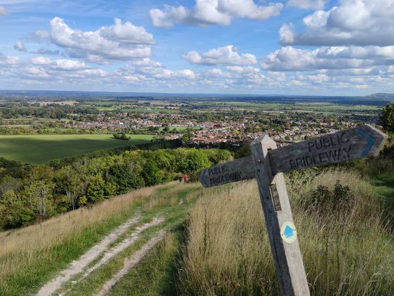 Cissbury Ring – Chanctonbury Ring Loop from Findon Valley | Wanderung ...