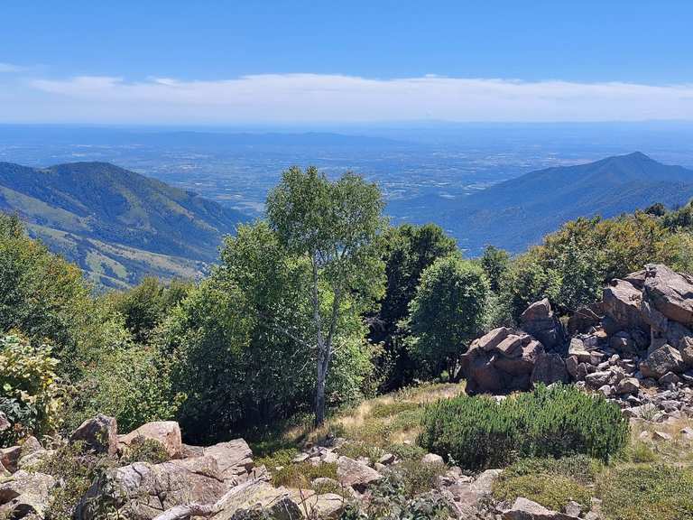 Dal Col del Lys al Rifugio Portia e il Monte Arpone — Giro ad anello ...