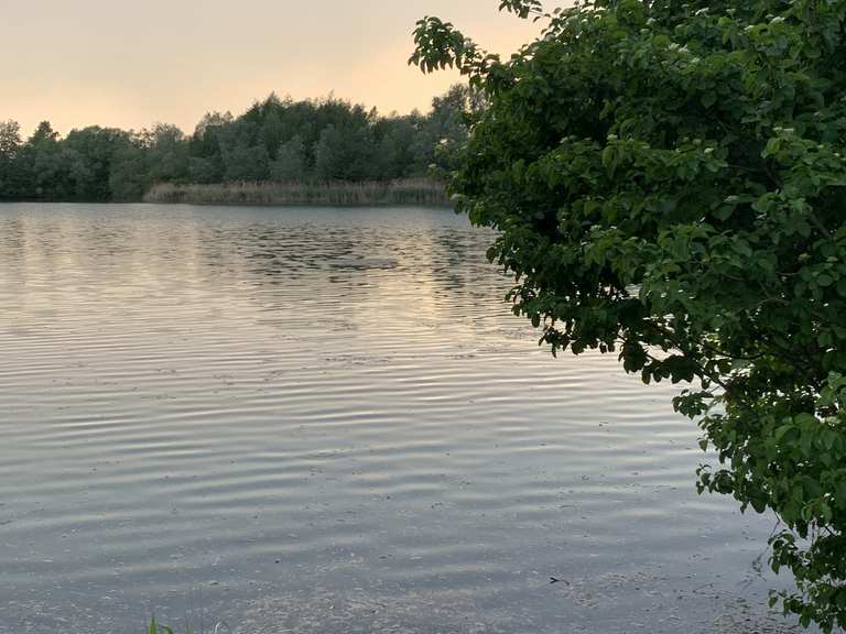 Baggersee Hirschau - Sentiers et pistes de VTT | Komoot