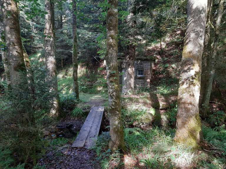 Calmbach Routes for Walking and Hiking | Komoot