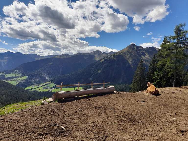 Laureiner Alm - Mountain Bike Trails & Tracks | Komoot