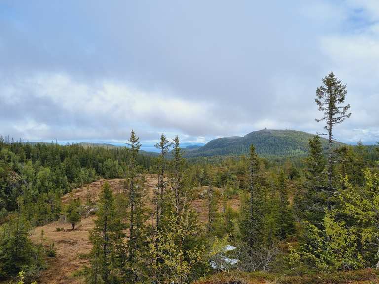 Panorama Elgsethytta: Wanderungen und Rundwege | komoot