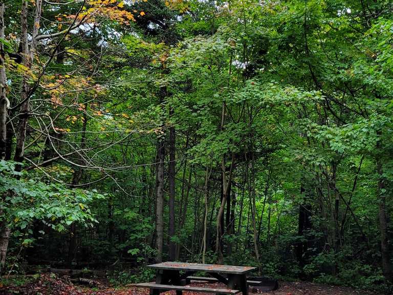 Blomidon Campground: Wanderungen und Rundwege | komoot