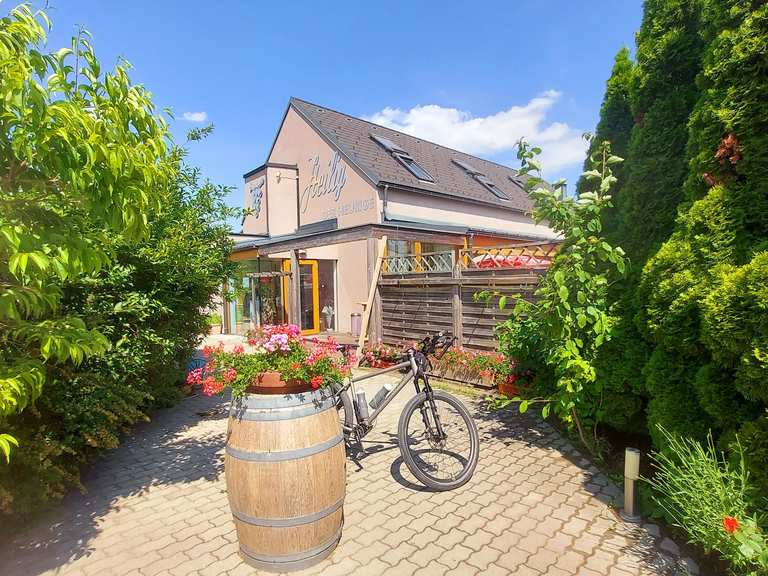 Heuriger Heilig in Hagenbrunn: Mountainbike-Touren und -Trails | komoot