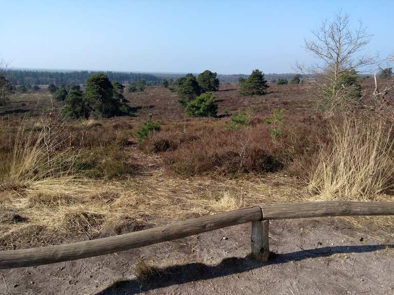 De weg naar de Holterberg - wandelroutes en hikes | Komoot