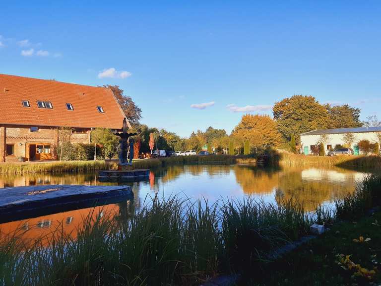 Gut Gollin: Wanderungen und Rundwege | komoot