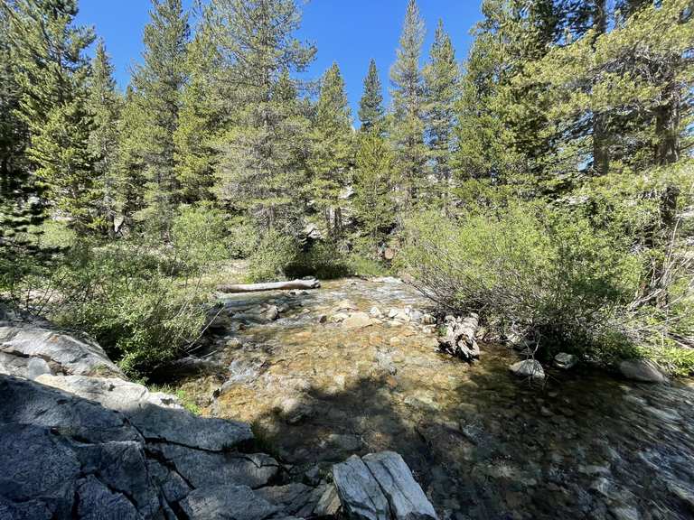Torrente e aree campeggio : percorsi escursionistici e trekking | Komoot