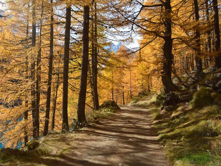 Rifugio Navonera – Monte Alpet Runde von San Giacomo di Roburent ...