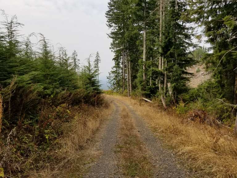 Temple Pond Running Loop – Lord Hill Regional Park Du liebst das Laufen ...