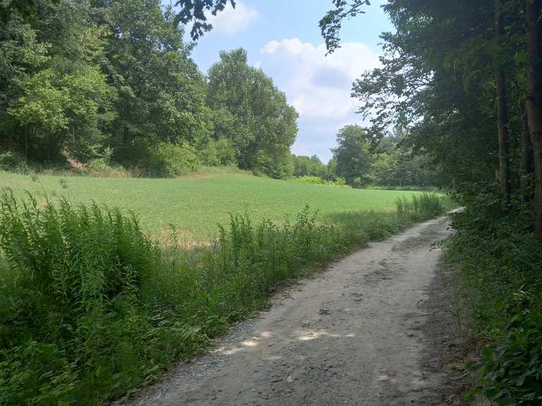 Riserva Naturale del Neirone: Wanderungen und Rundwege | komoot