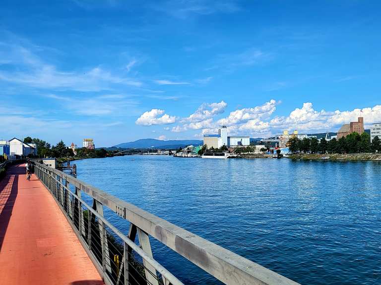 Elsässerrheinweg – Sentiero lungo il Reno al confine franco-svizzero ...