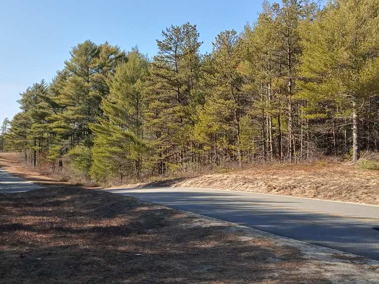 Cape Cod Canal - Myles Standish State Forest Loop | giro in bici | komoot