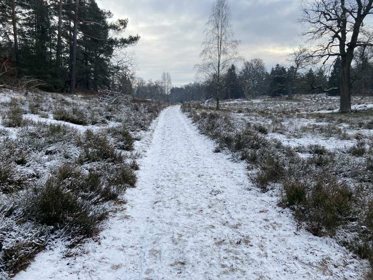 Breeser Grund - Routes for Walking and Hiking | Komoot