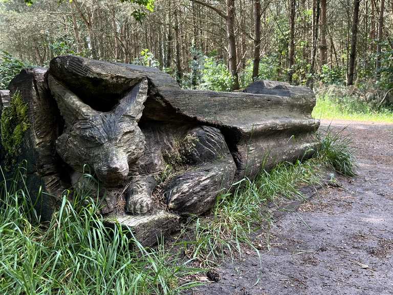 Fun walk exploring Heere Peel with beautiful wood carving Routes for ...