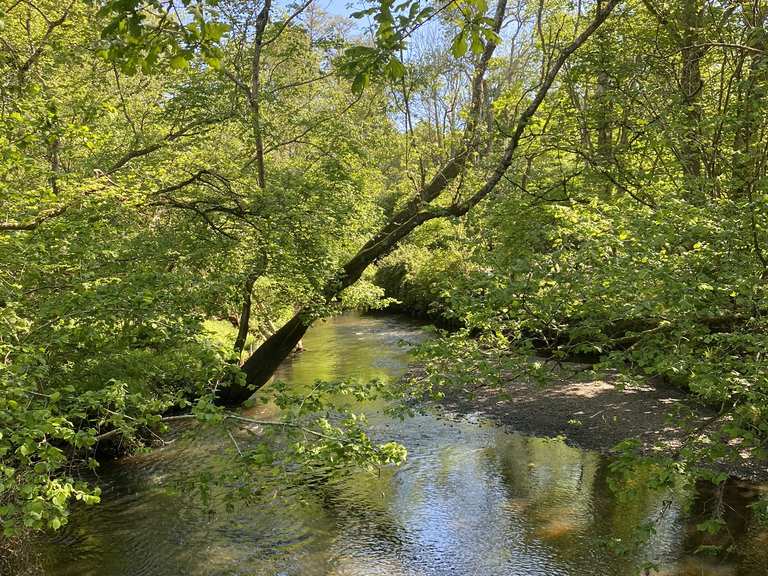 Roydon & Setley Commons loop from Setley — New Forest National Park ...