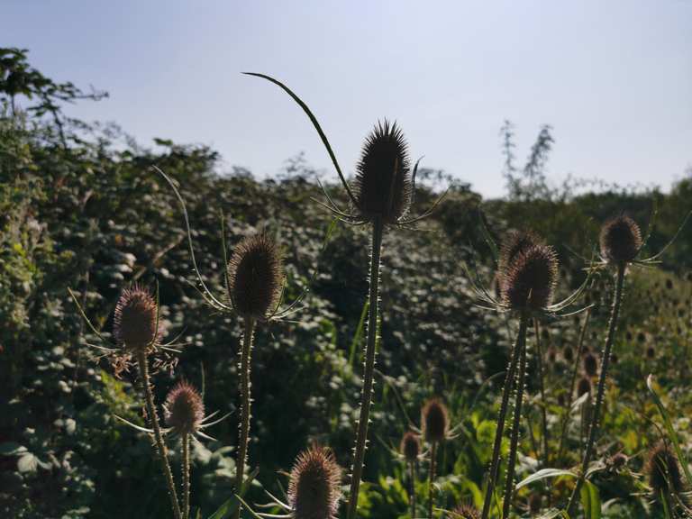 Pye Corner cycle link - Cycle Routes and Map | Komoot