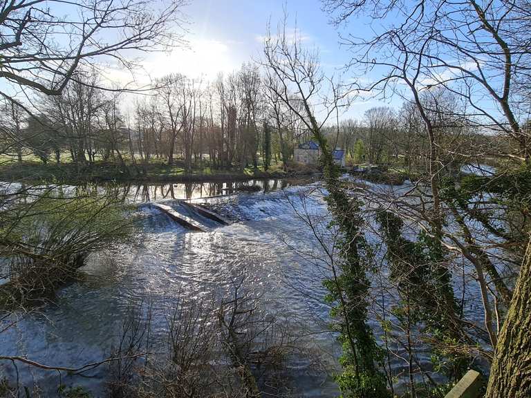 Howsham Wood and Kirkham Priory loop from Howsham Bridge — Howardian ...