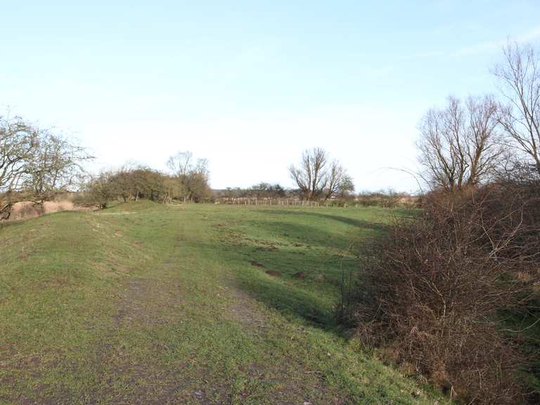Auf dem Deich bei Barsbek durch die Salzwiesen: Wanderungen und ...