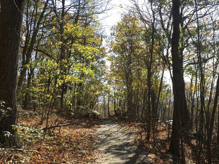 Pine Tree Trail Loop — Pinnacle Scenic Overlook Nature Preserve Sei sul ...