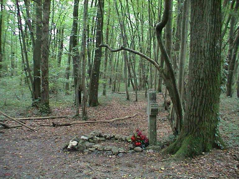 Hamoir: Wanderung des Kreuz des Pastors | escursione | komoot