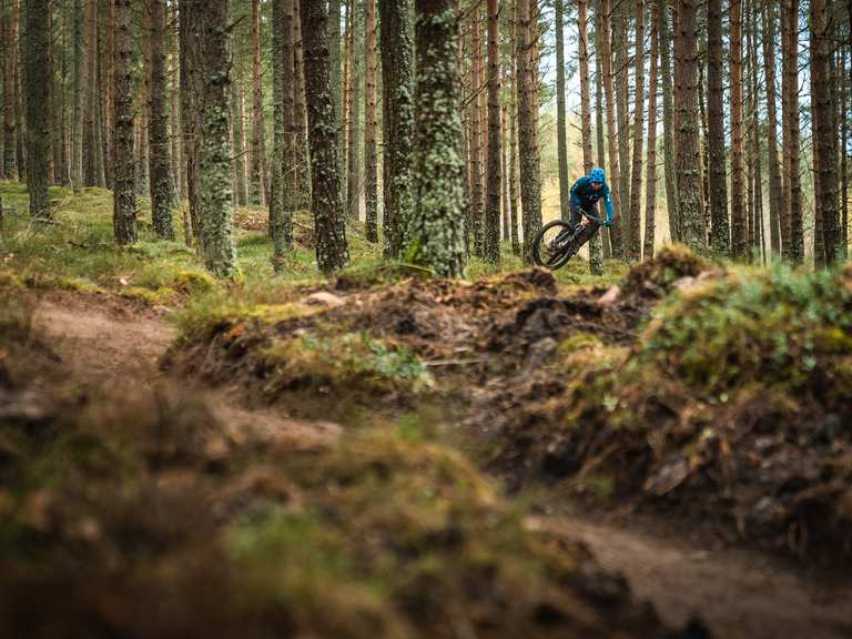 Flow Trail Jump Section - Mountain Bike Trails & Tracks | Komoot