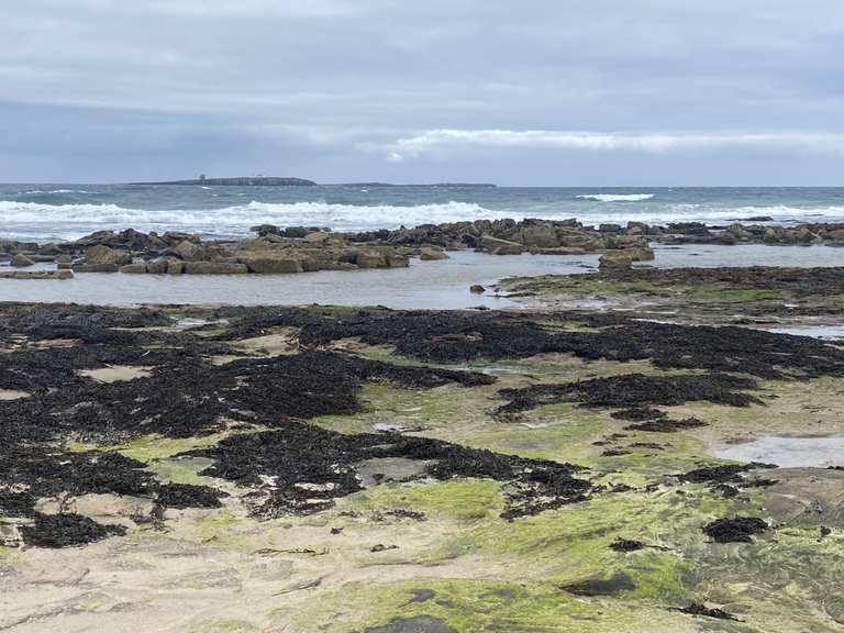 Seahouses Harbour and Beach Routes for Walking and Hiking | Komoot