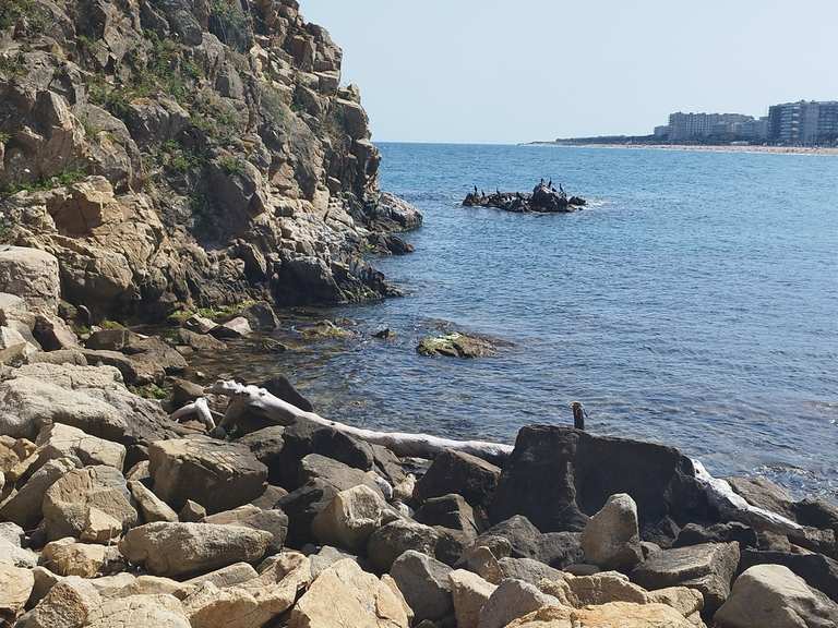 Paseo marítimo de Blanes Routes for Walking and Hiking | Komoot