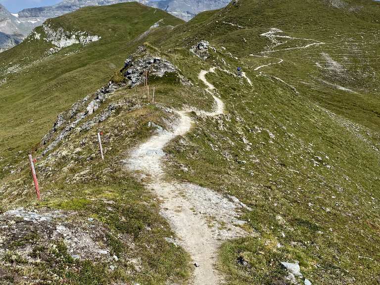 Crap Masegn-Fuorcla da Sagogn (Route 248) Mountain Bike Trails & Tracks | Komoot