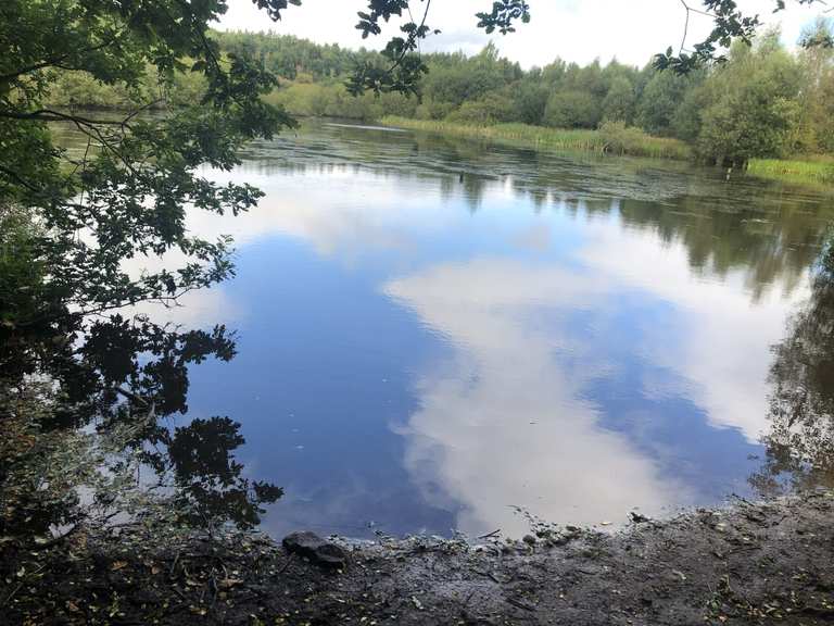 Derwentside Junction – Beamish Woods Runde von Beamish | Wanderung | Komoot