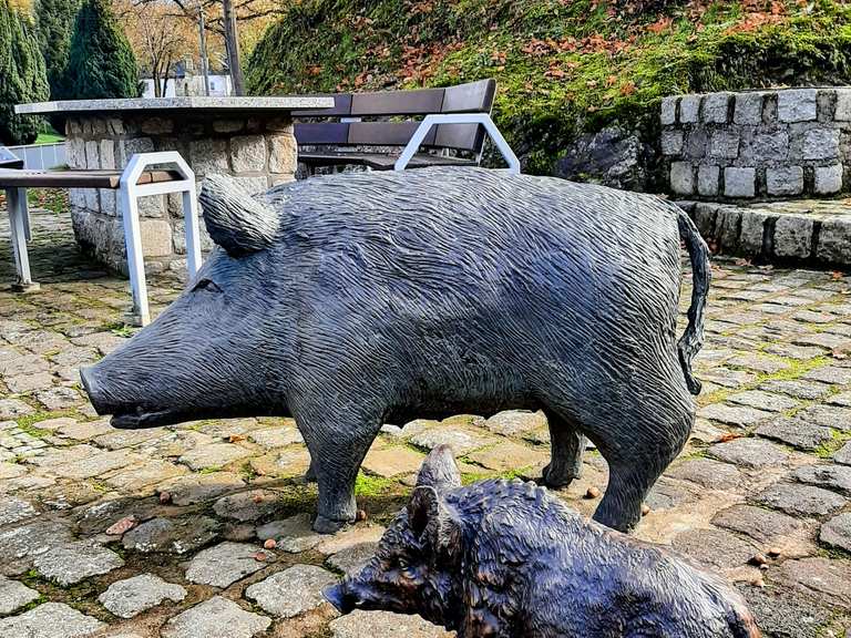 Wild Boar and Dog Sculptures Rest Area – Hiking & Cycling Routes | Komoot