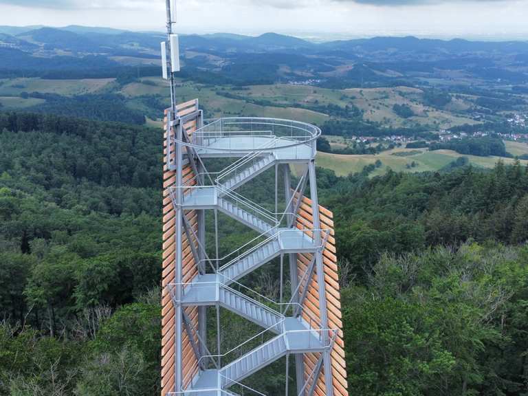 Trommturm: Mountainbike-Touren und -Trails | komoot