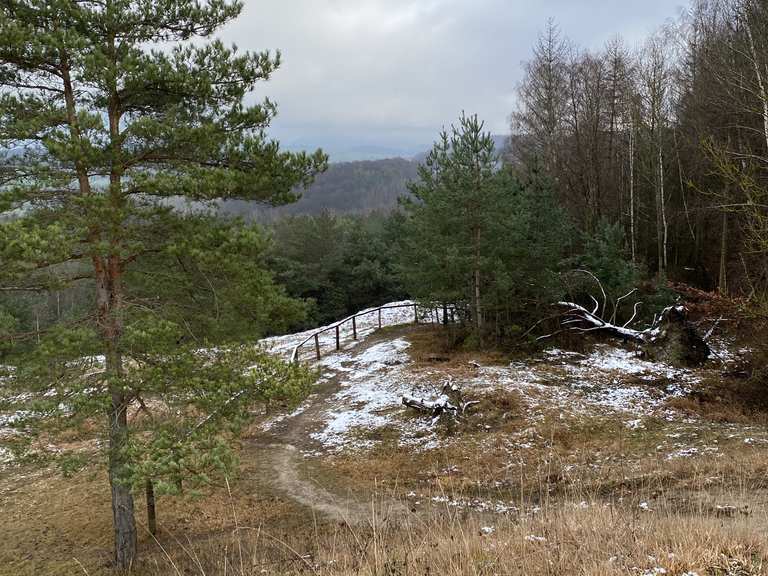 Karstwanderweg - Woffleben-Sattelköpfe-Hörningen: Wanderungen und ...