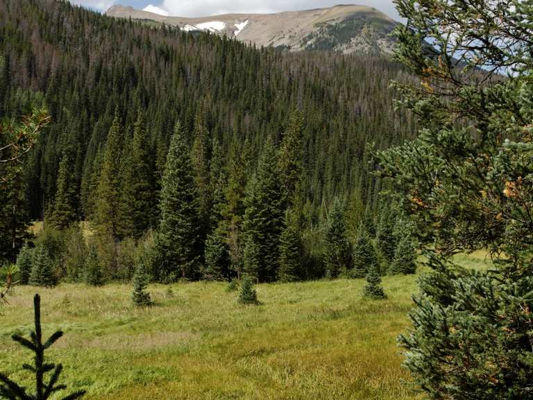 Lulu City Site & Colorado Trail Head – Rocky Mountain National Park ...
