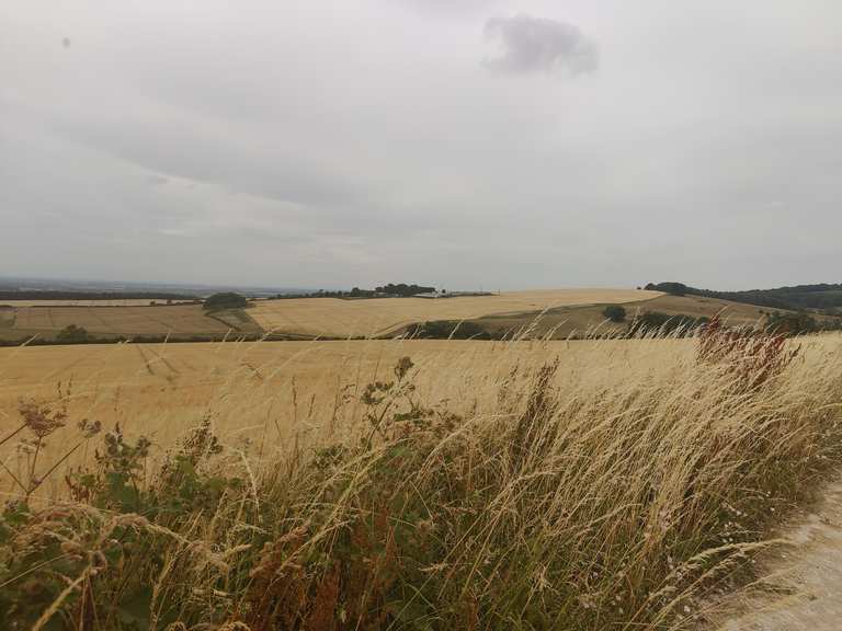 Minster way Routes for Walking and Hiking | Komoot