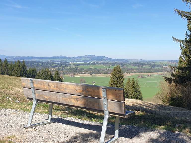 Wurzelweg – Buchenbergalm Runde von Buching | Wanderung | Komoot