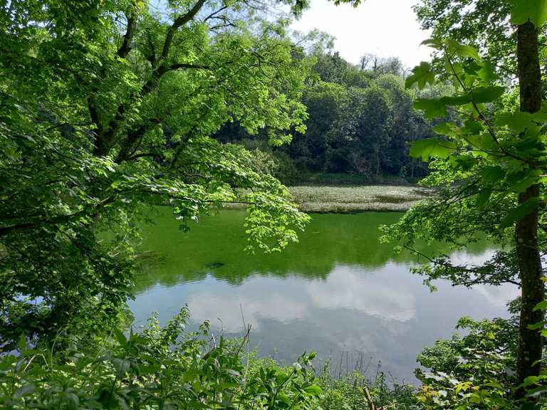 Swanbourne Lake Routes for Walking and Hiking | Komoot