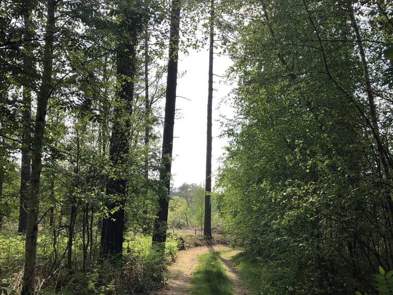 Droge heide - herstelgebied wandelroutes en hikes | Komoot