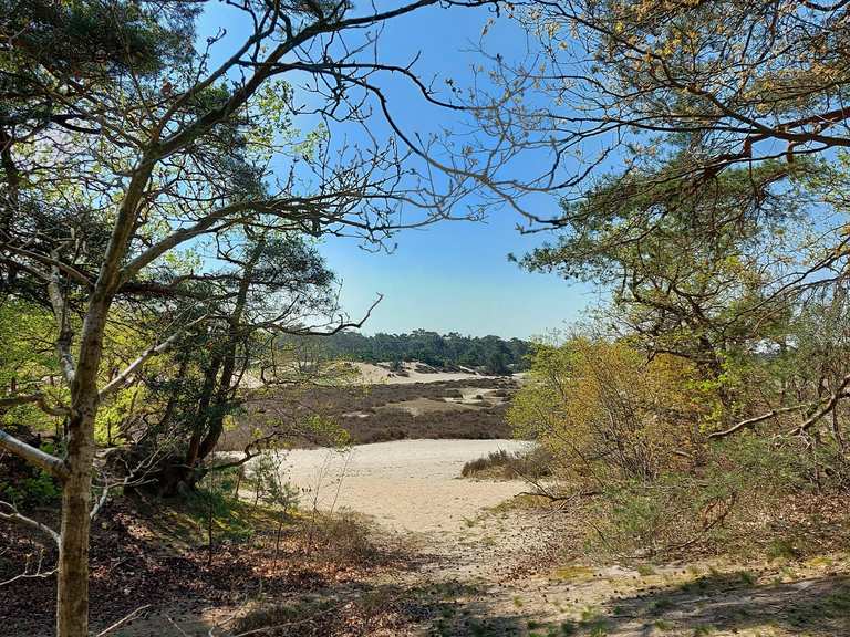Soesterduinen - Cycle Routes and Map | Komoot