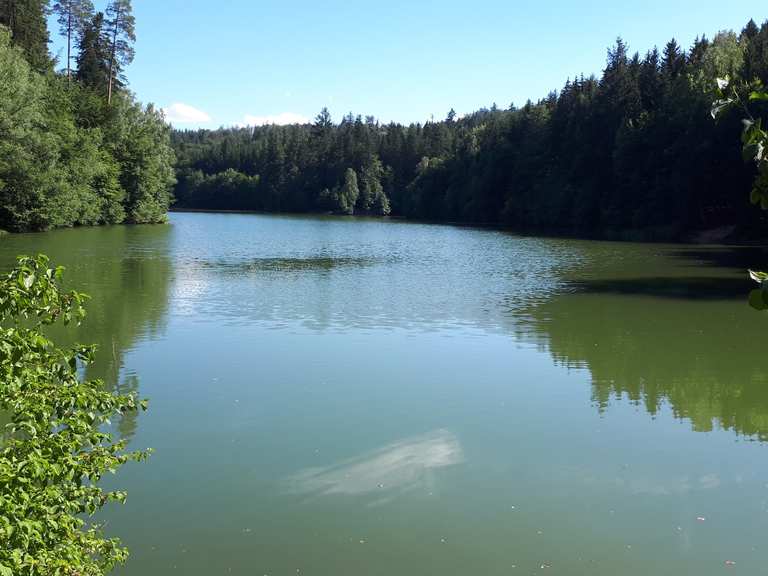 Steg im Herrenbachstausee : Radtouren und Radwege | komoot