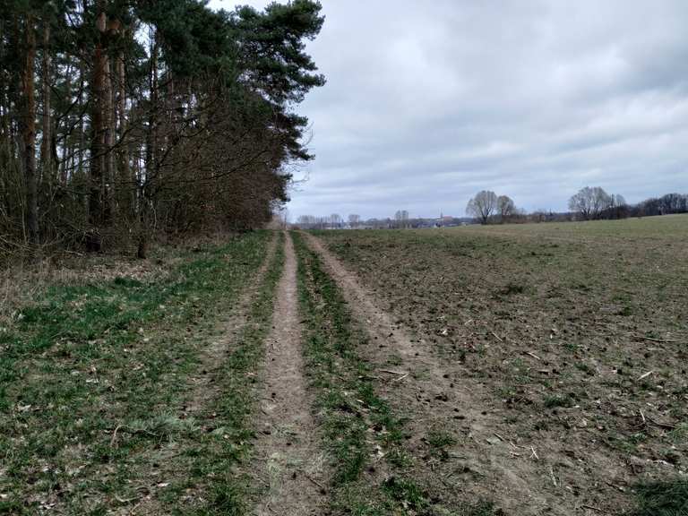 relativ fester Sandweg: Radtouren und Radwege | komoot