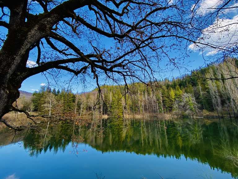 Da Percile ai Lagustelli – Parco Naturale Regionale dei Monti Lucretili | hike | Komoot