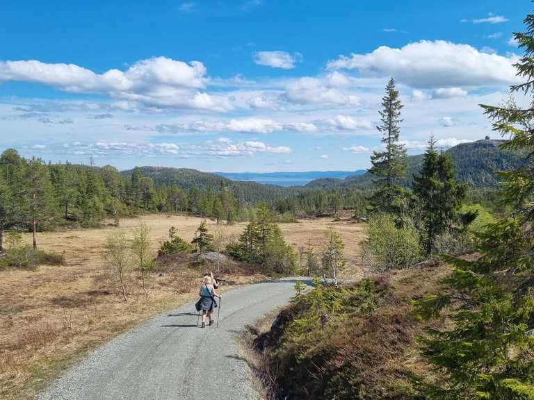 Panorama Elgsethytta: Wanderungen und Rundwege | komoot